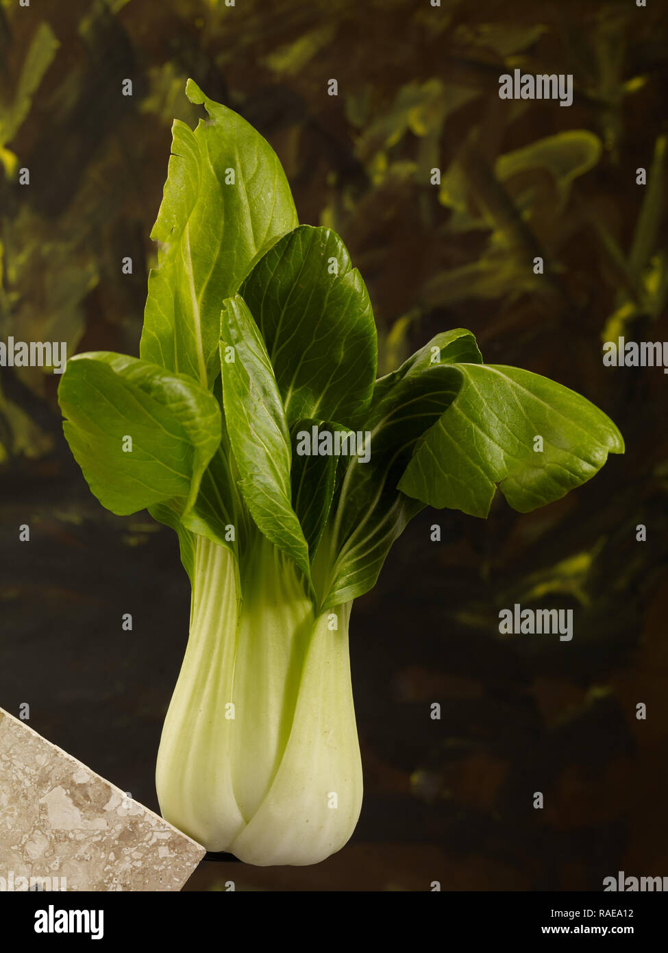 Pok Choy vegetable food portrait Stock Photo - Alamy
