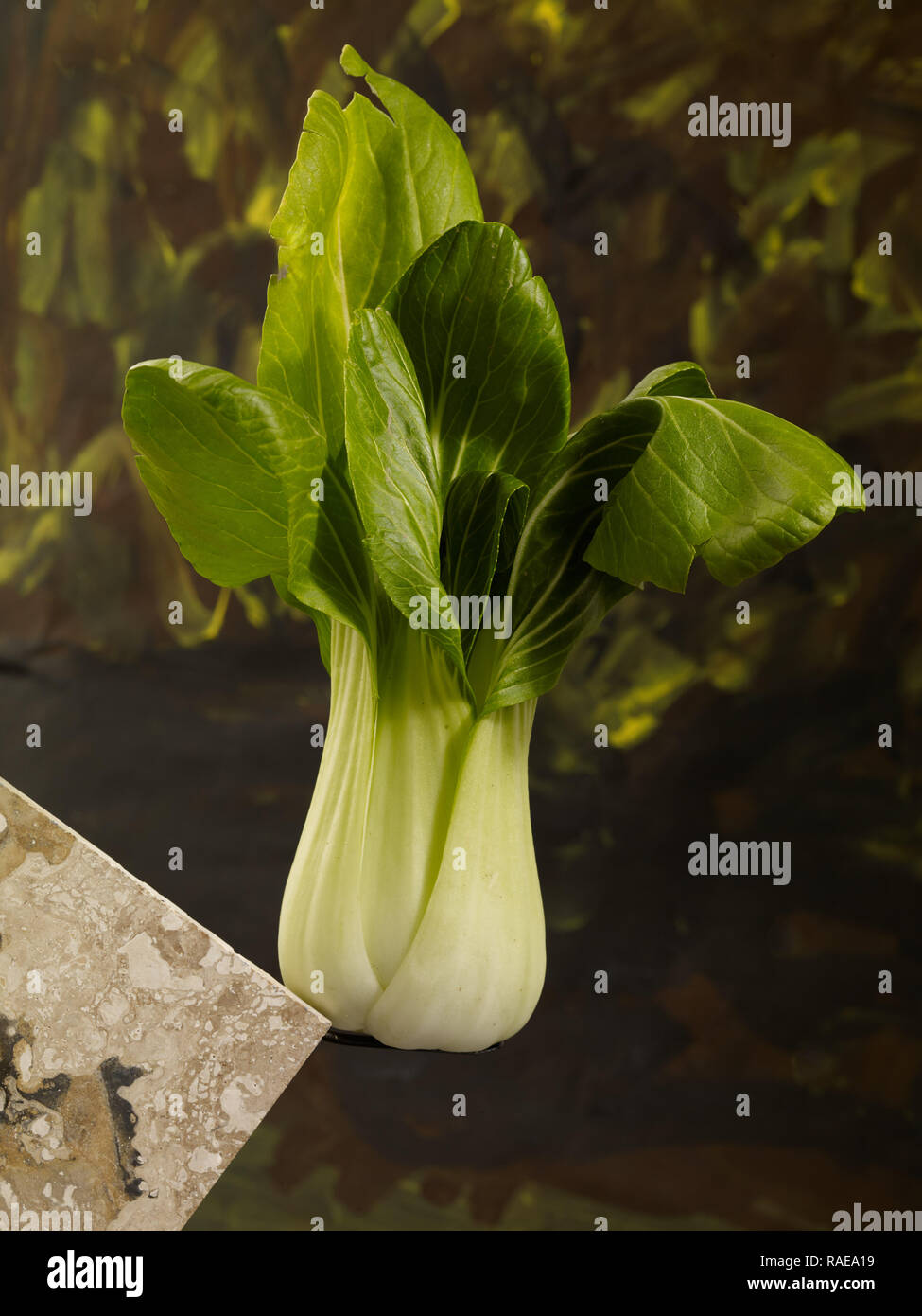 Pok Choy vegetable food portrait Stock Photo - Alamy