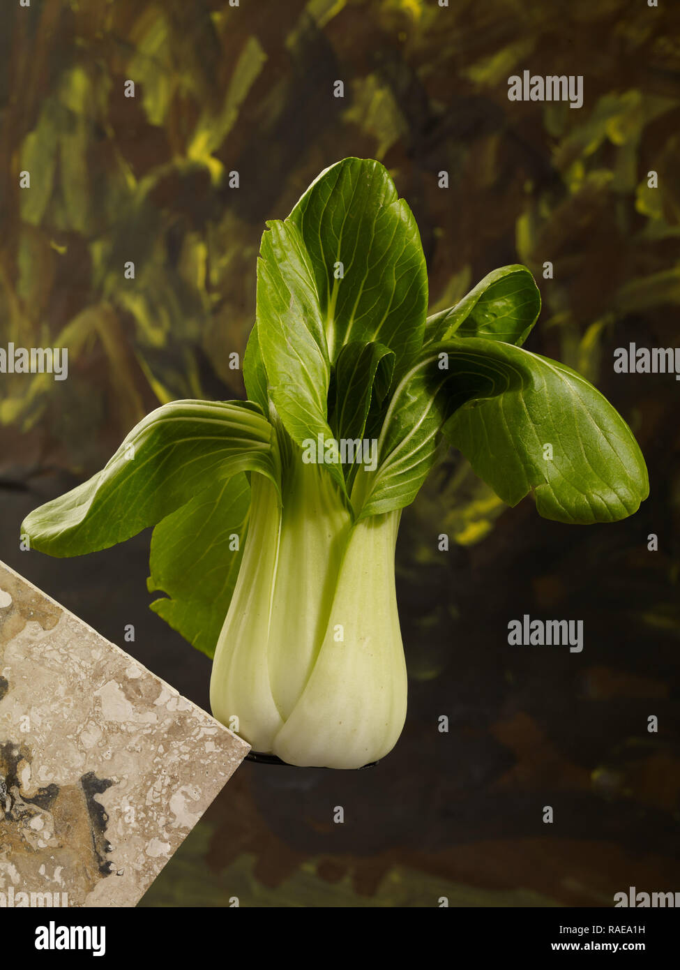 Pok Choy vegetable food portrait Stock Photo - Alamy