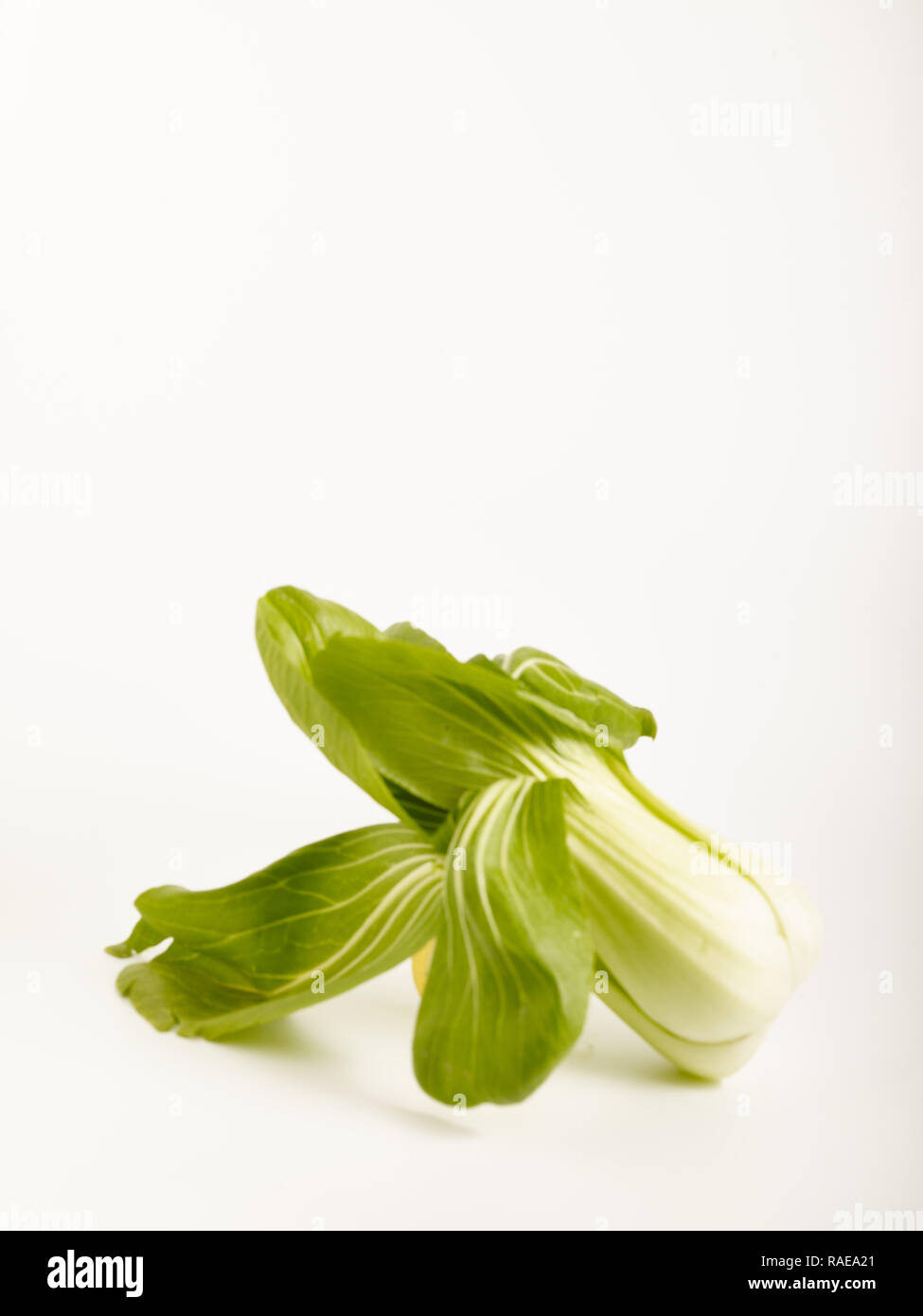Pok Choy vegetable food portrait Stock Photo - Alamy