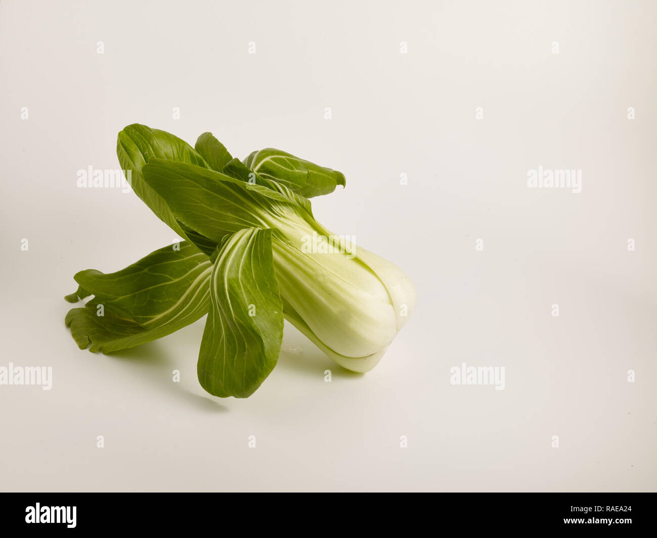 Pok Choy vegetable food portrait Stock Photo - Alamy