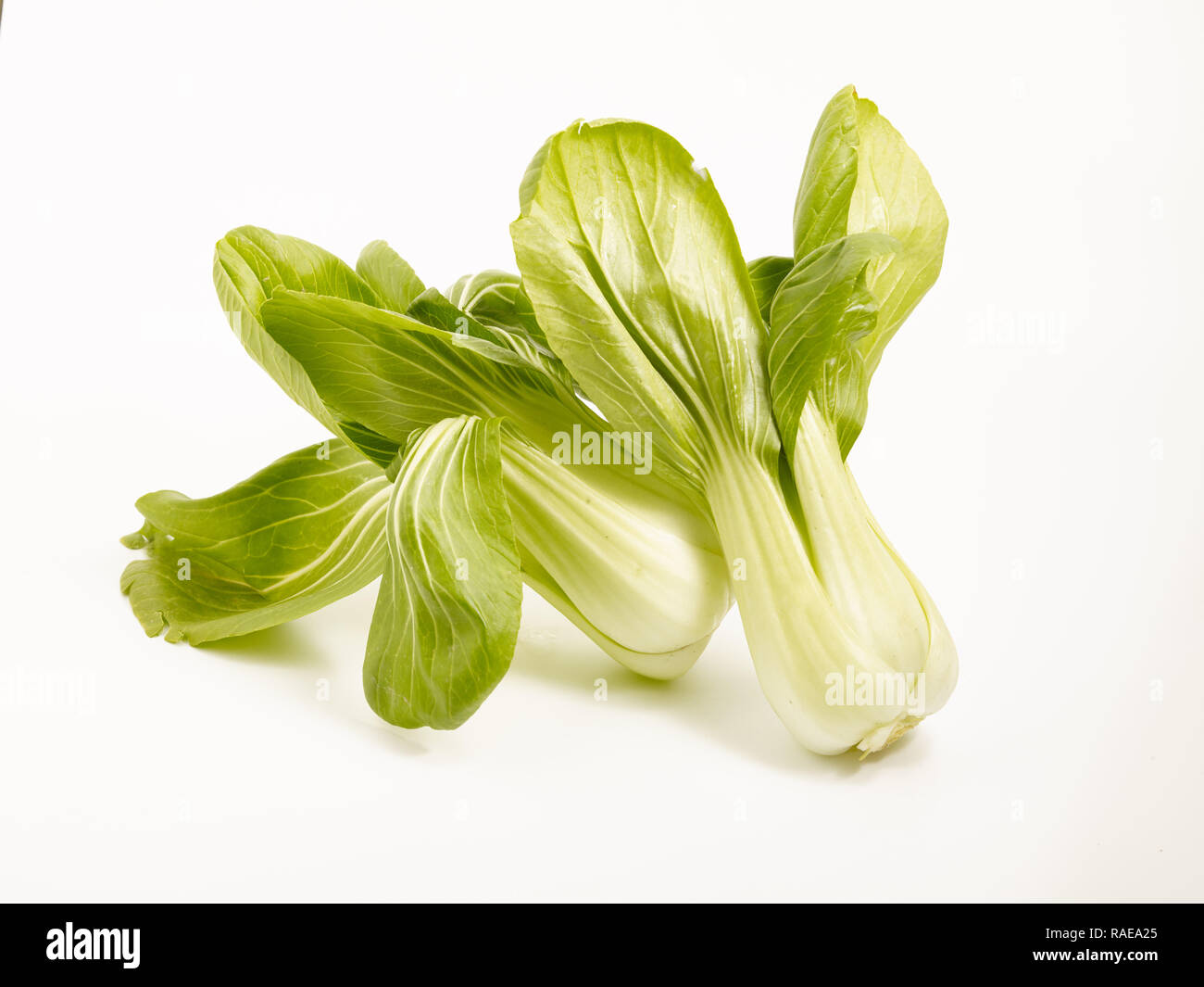 Bok Choi vegetable, food still-life photograph Stock Photo - Alamy