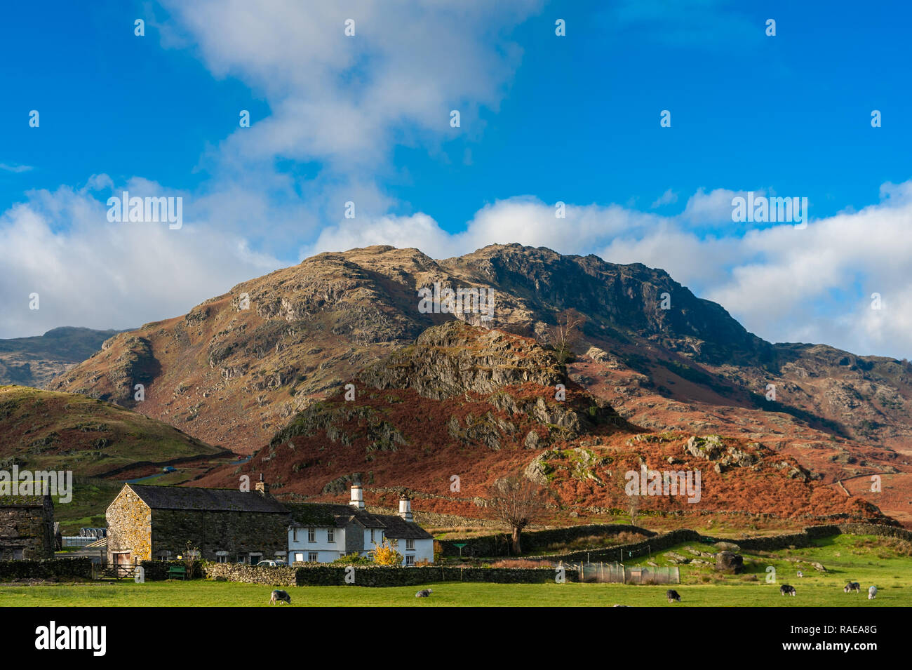 Fell Foot Farm Little Langdale Cumbria Stock Photo - Alamy