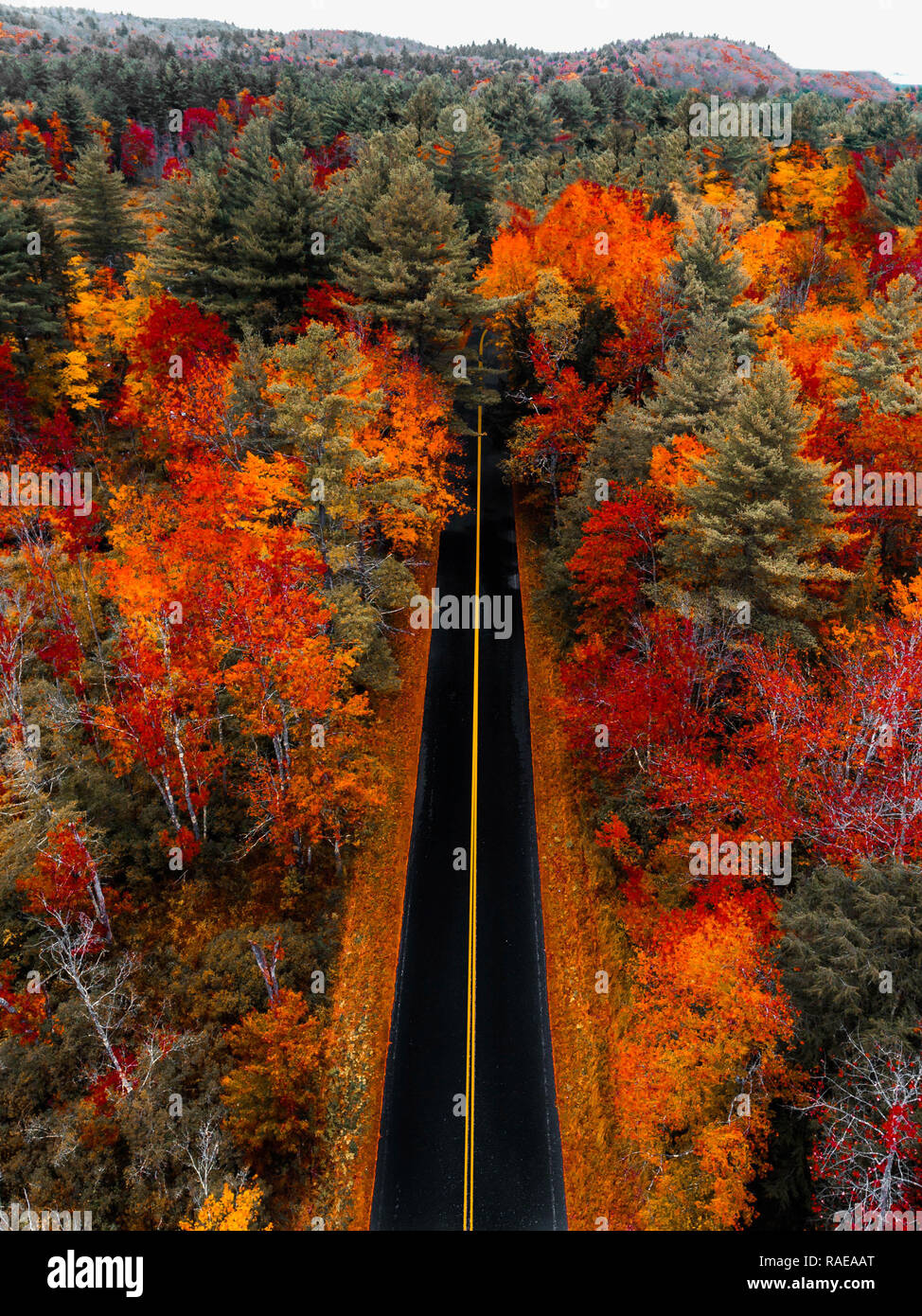 AS WINTER beckons one photographer captured the last of the autumn ...