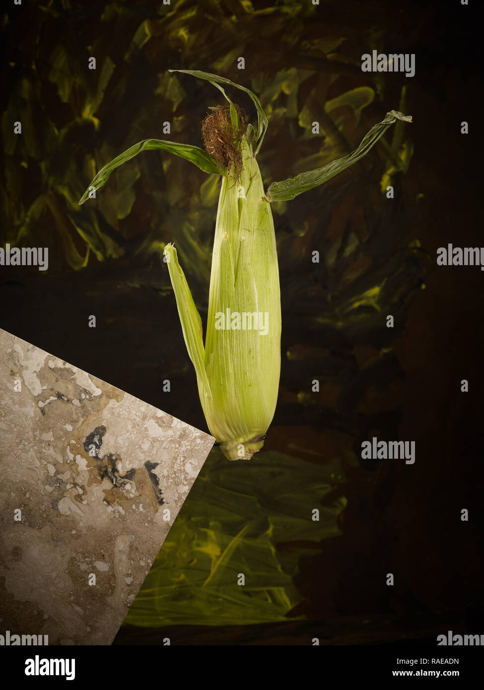 Single sweetcorn cob food portrait, still-life food photograph Stock ...