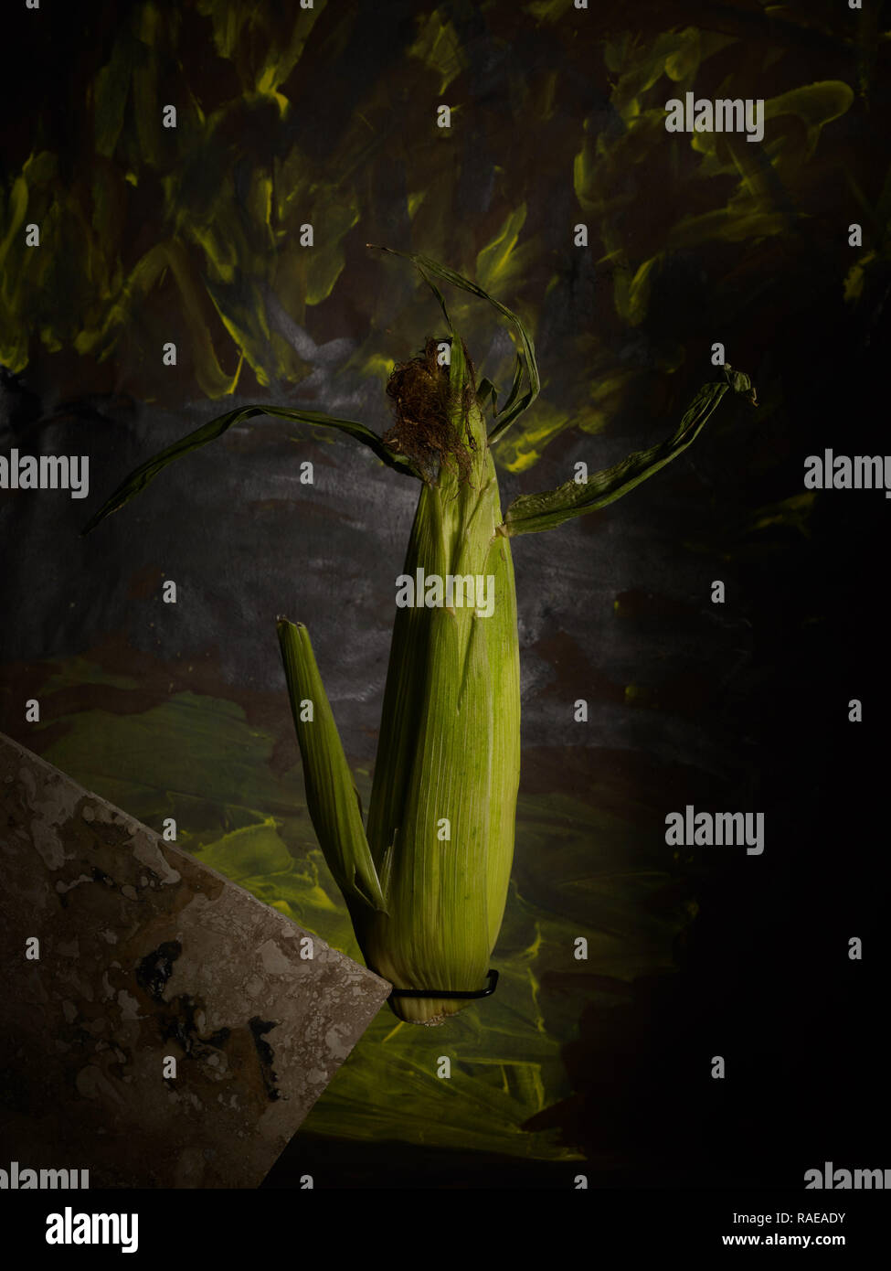 Single sweetcorn cob food portrait, still-life food photograph Stock ...