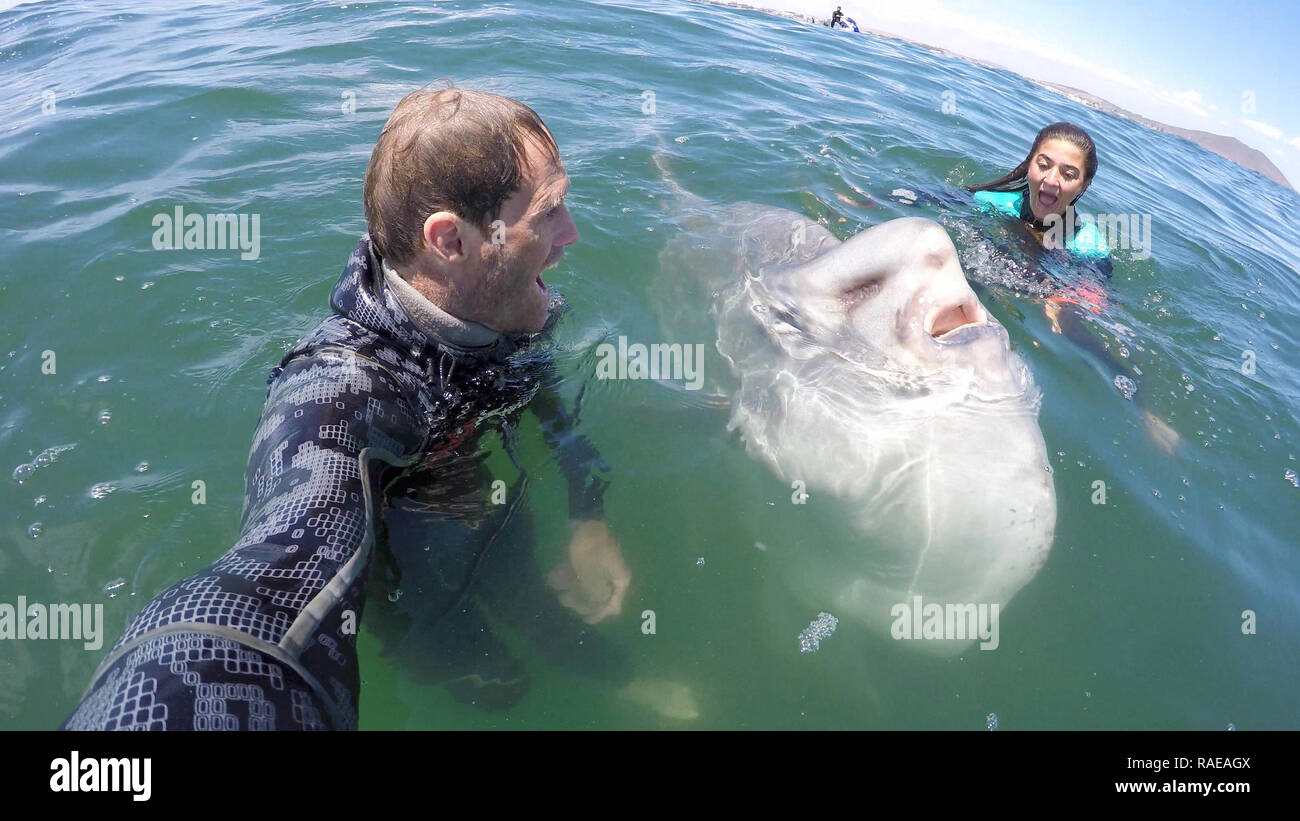 THESE lucky divers took the ultimate selfies after a huge SIX-AND-A ...