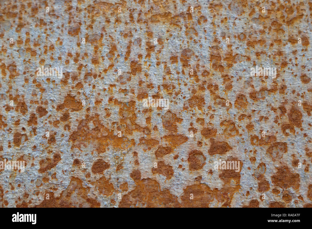 Surface of the underwater part of the hull of a ship with paint ...