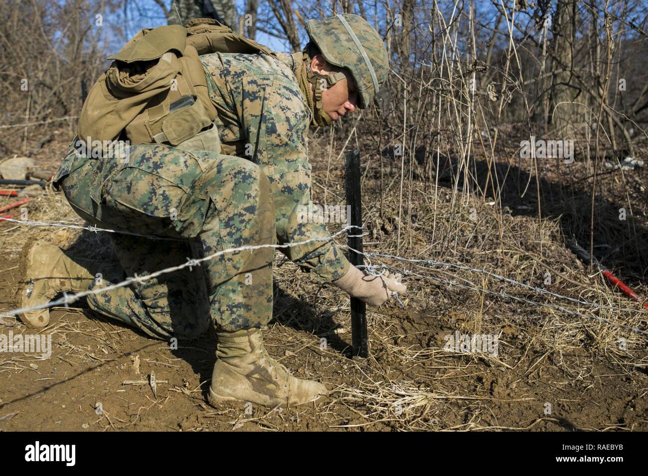 A U.S. Marine with 9th Engineer Support Battalion, 3rd Marine Logistics ...