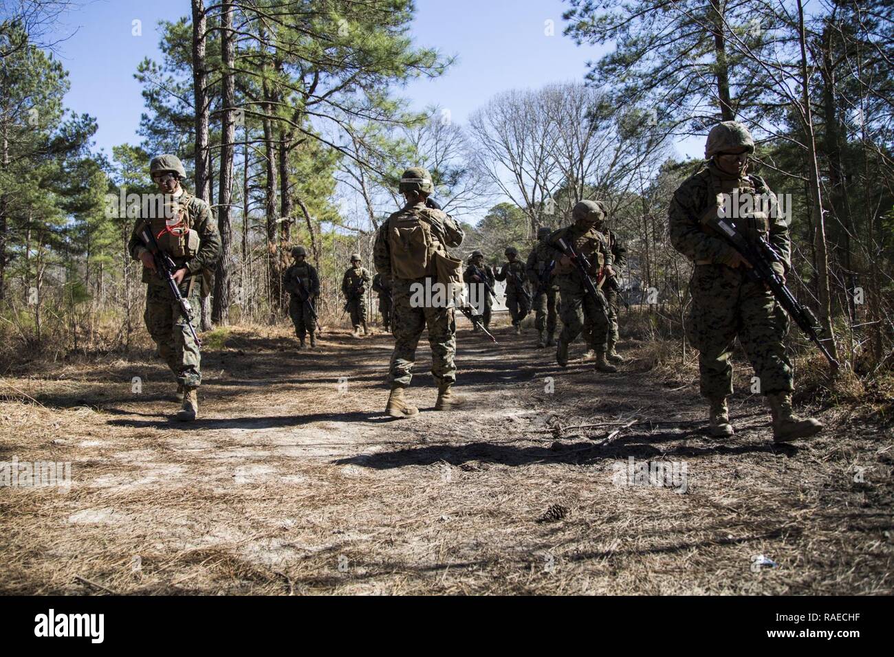 Combat skills training school hi-res stock photography and images - Alamy