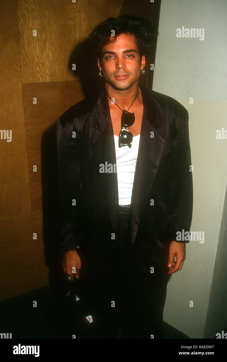 LOS ANGELES, CA - JULY 22: Actor Richard Grieco on July 22, 1993 in Los ...