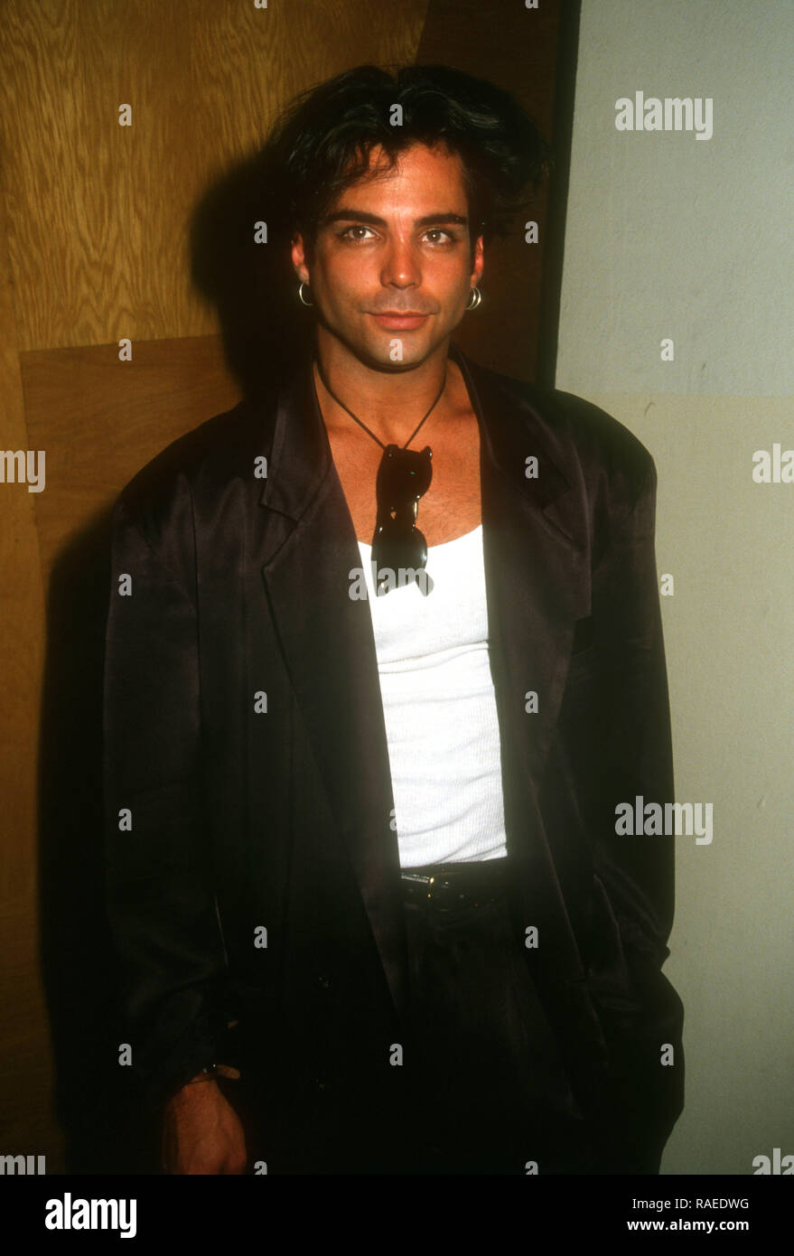 LOS ANGELES, CA - JULY 22: Actor Richard Grieco on July 22, 1993 in Los ...