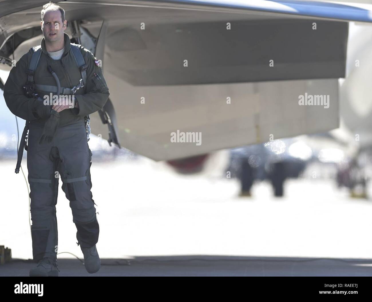 A 1st Fighter Wing F-22 Raptor pilot conducts a walk-around his ...