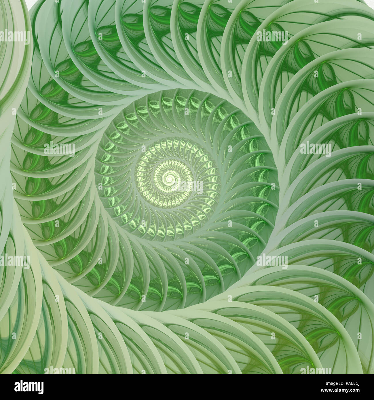 Fibonacci Fractal
