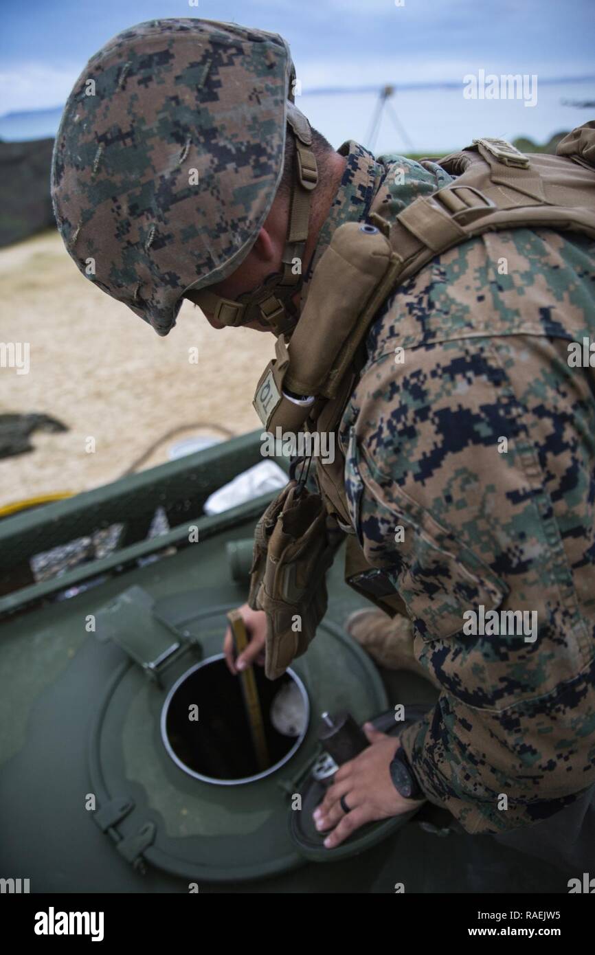 Lance Cpl. Hunter C. Knuckles gauges fuel in a fuel module at Kin Blue ...