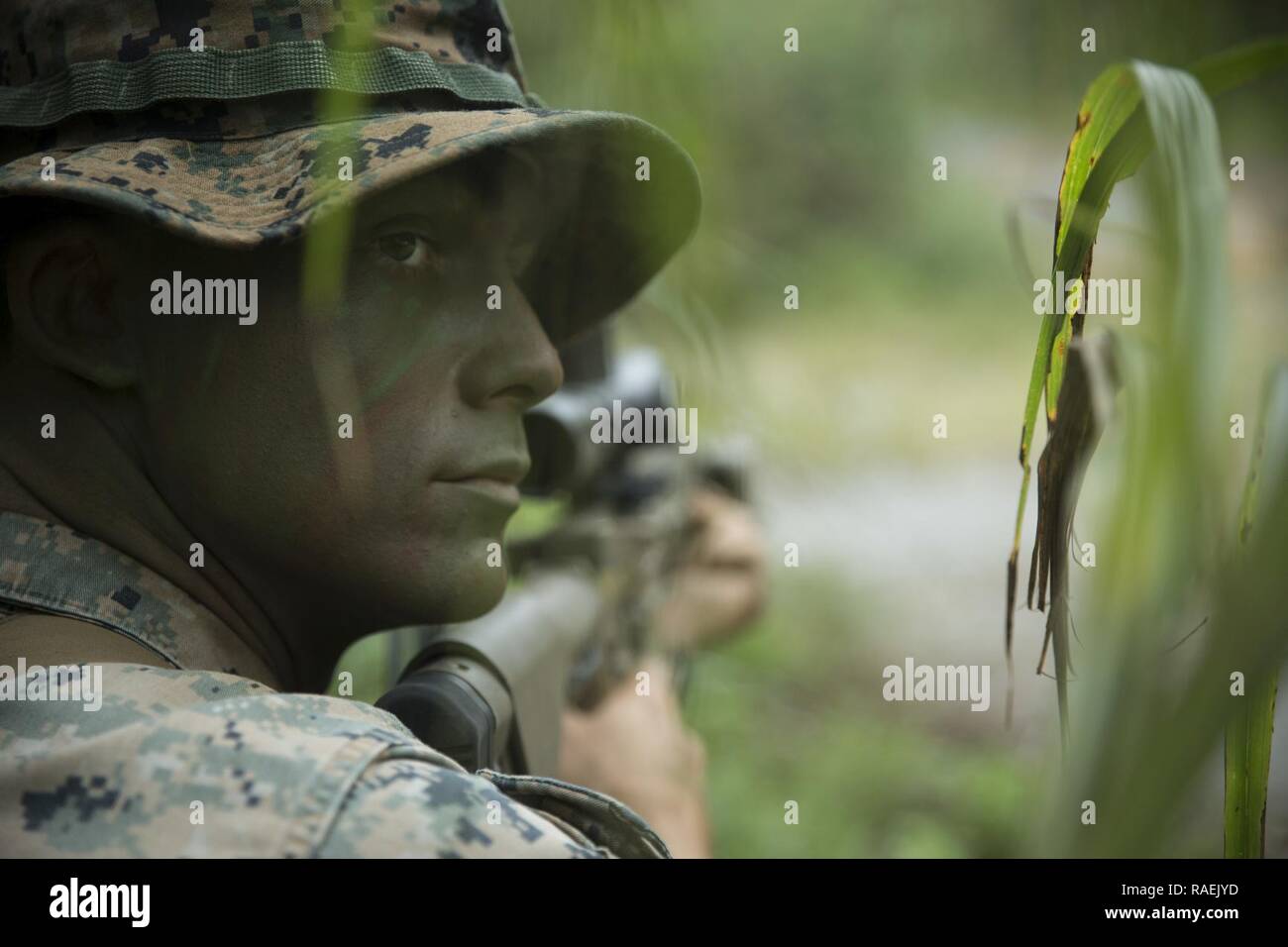 Marine corps scout sniper school hi-res stock photography and images - Alamy