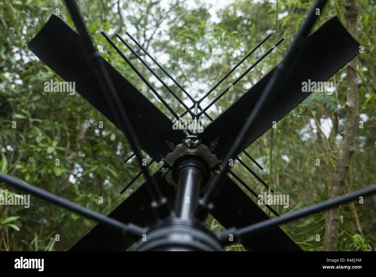 A satellite communication antenna points to an opening in the tree ...