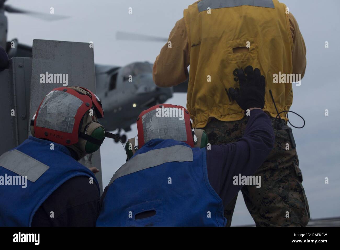 U.S. Marines with Marine Aviation Logistics Squadron 29 brace ...