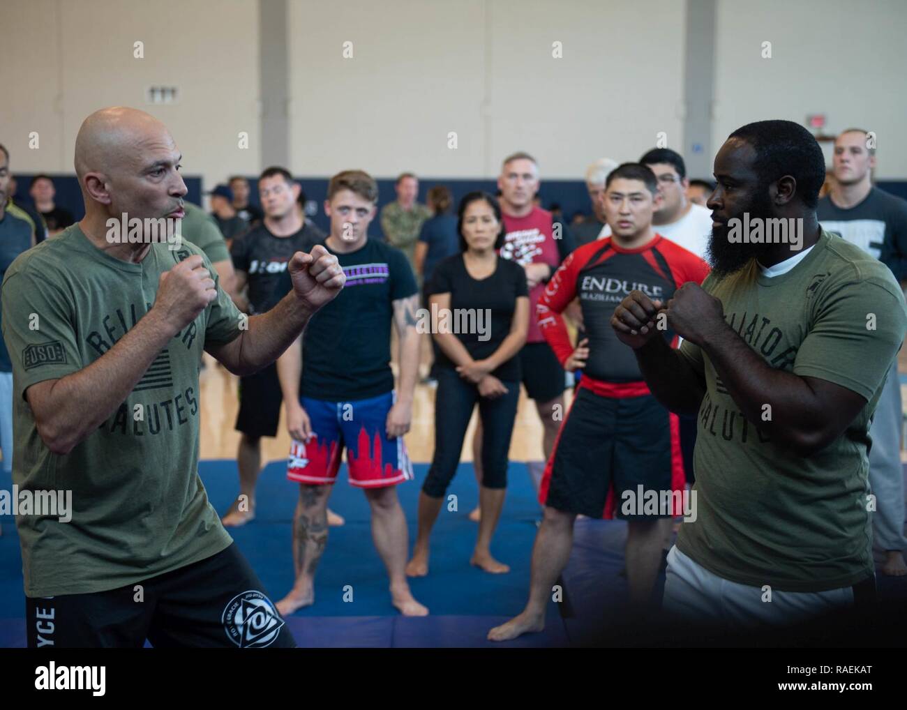 Royce gracie hi-res stock photography and images - Alamy