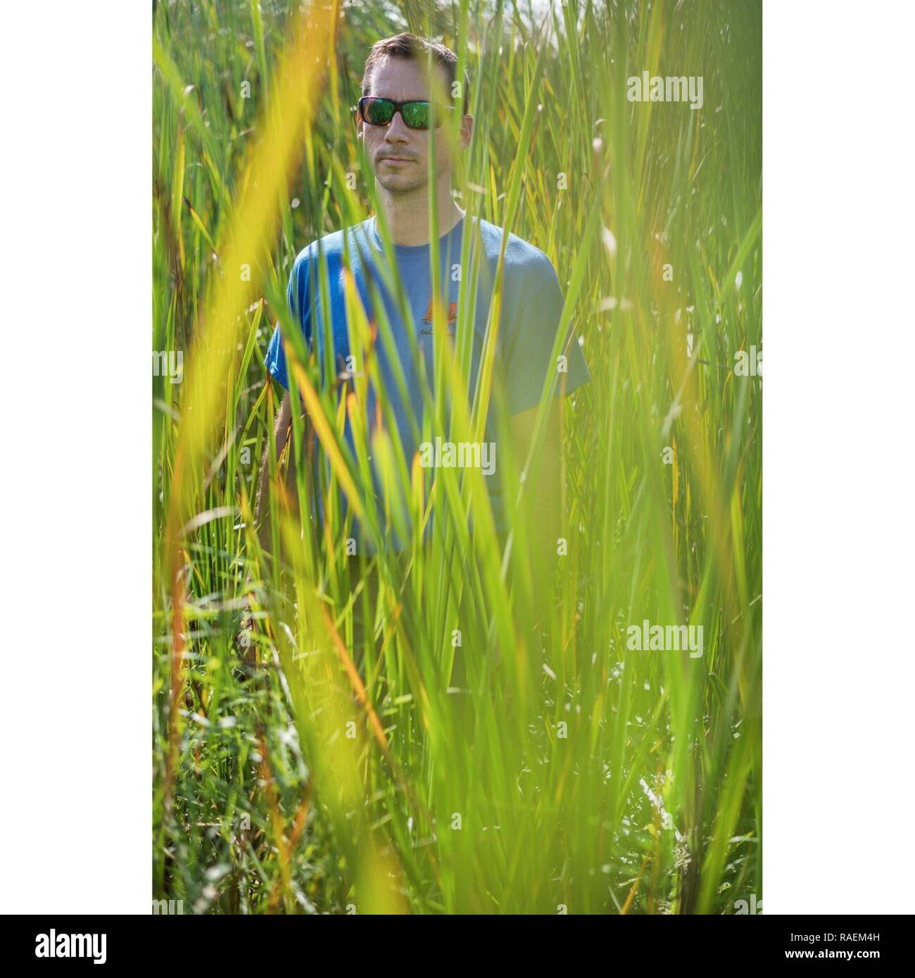 Marsh lake ecosystem restoration project hi-res stock photography and ...