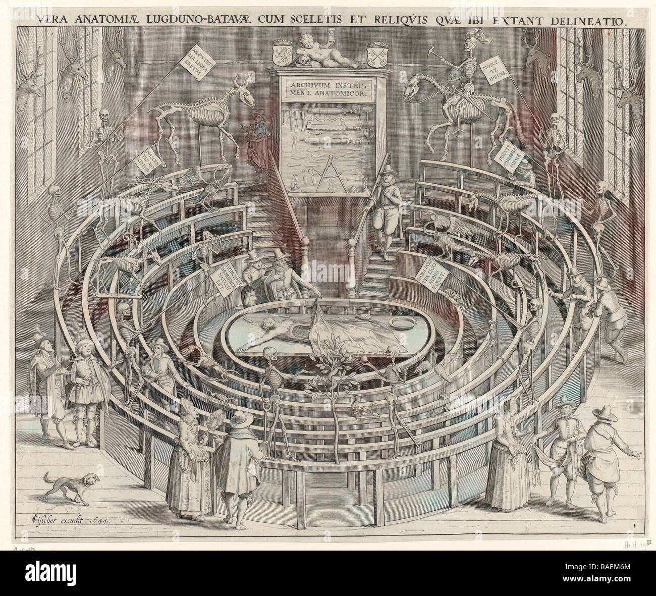 Anatomical theater of the University of Leiden The Netherlands, Willem ...