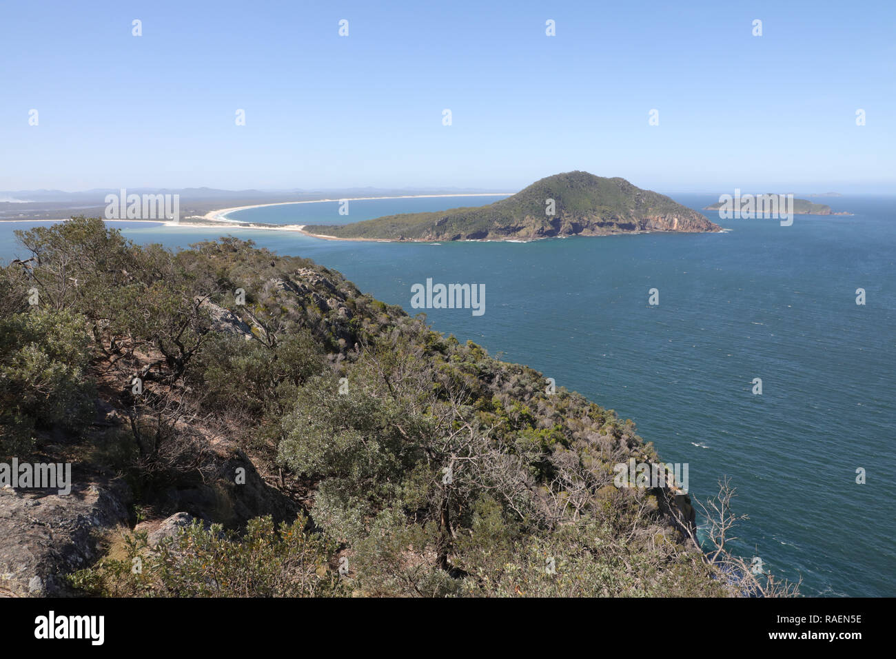 Natures Beacons - Yacaaba Head and Cabbage Tree Island (John Gould ...