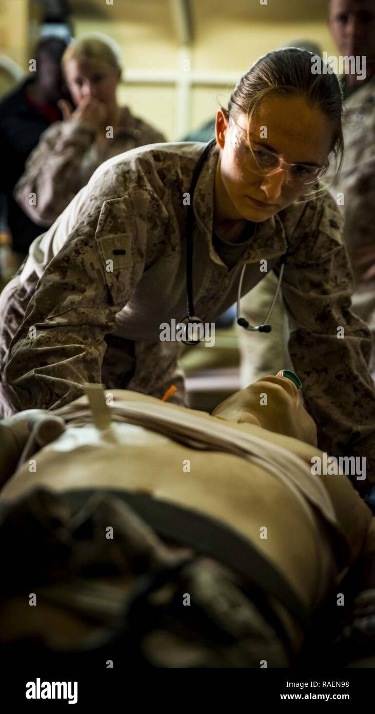 U.S. Navy Lt. j.g. Lea Anna Godwin, a physician assistant with Combat ...