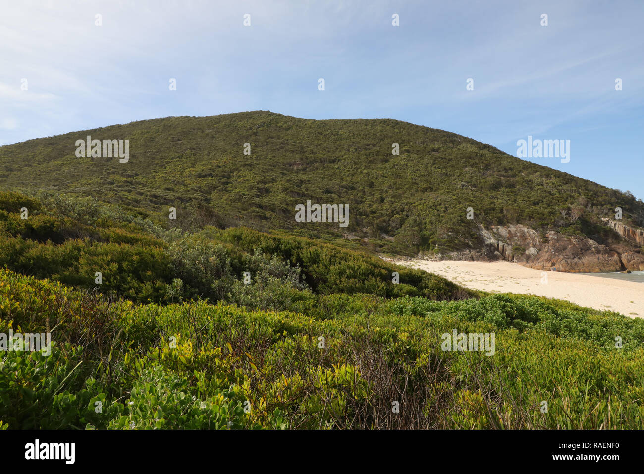 Box beach port stephens hi-res stock photography and images - Alamy