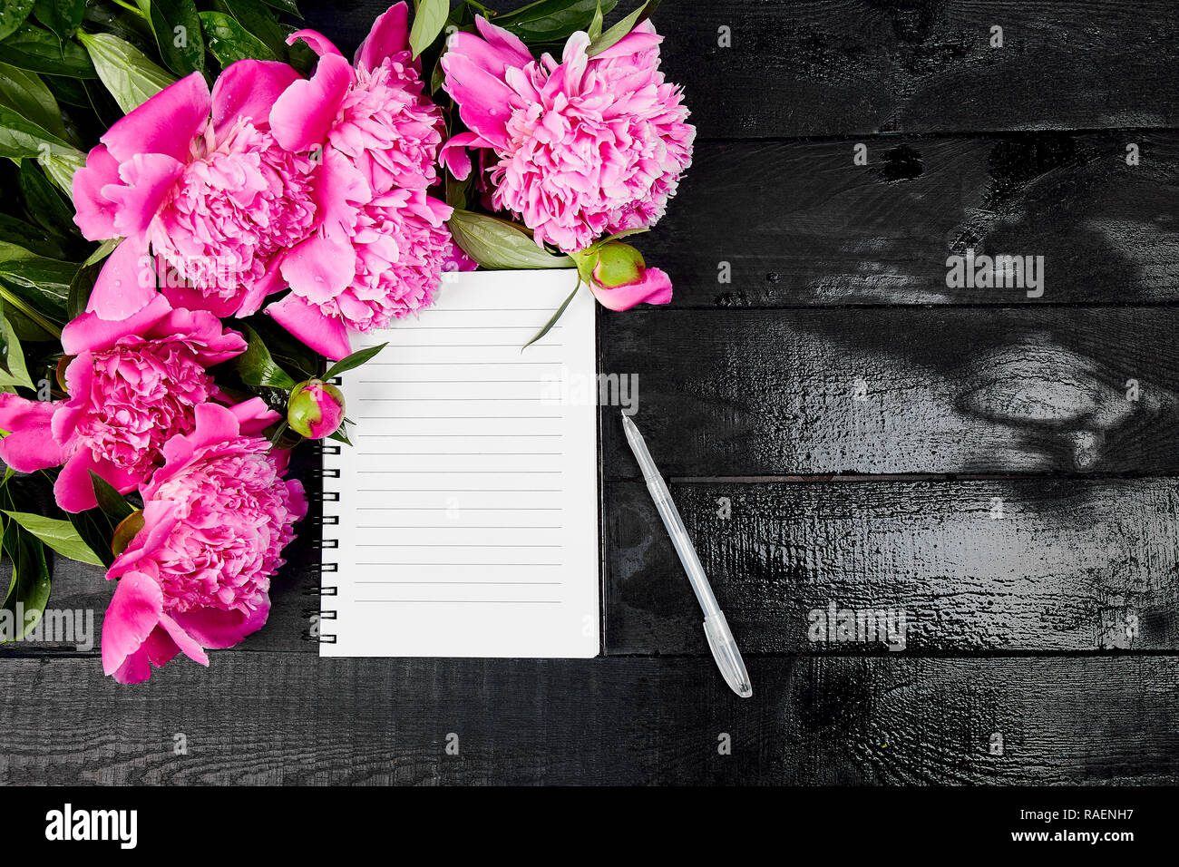 Beautiful pink peony flowers on black background with note or diary ...