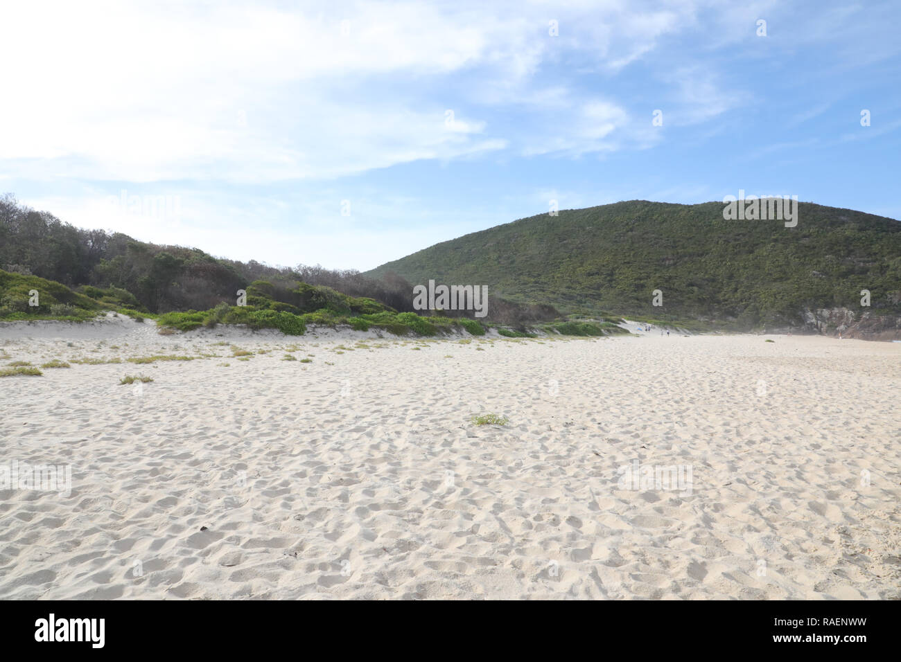 Box beach port stephens hi-res stock photography and images - Alamy