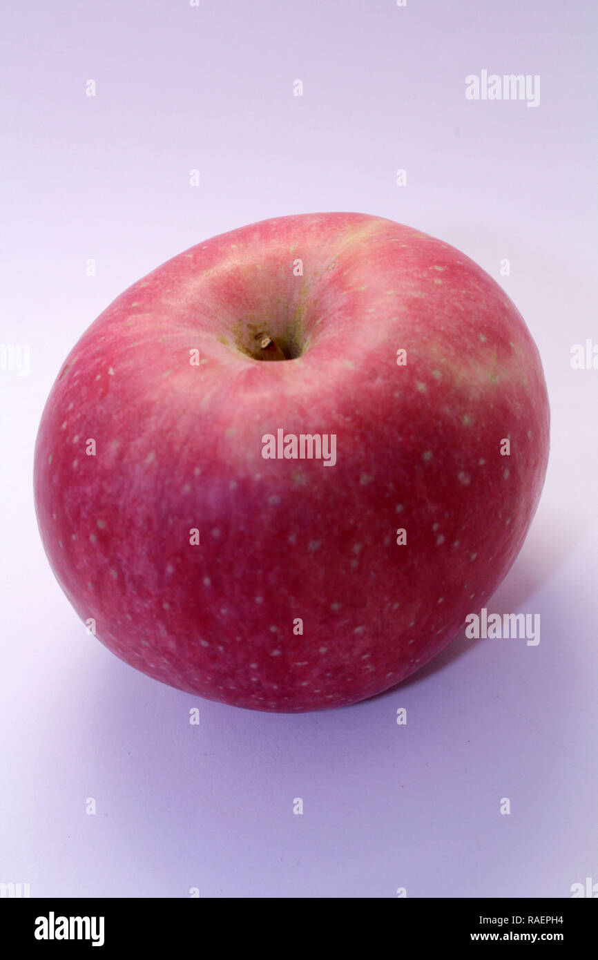The red apple known as "Apel Fuji" (Fuji Apple). Bright pinky color ...