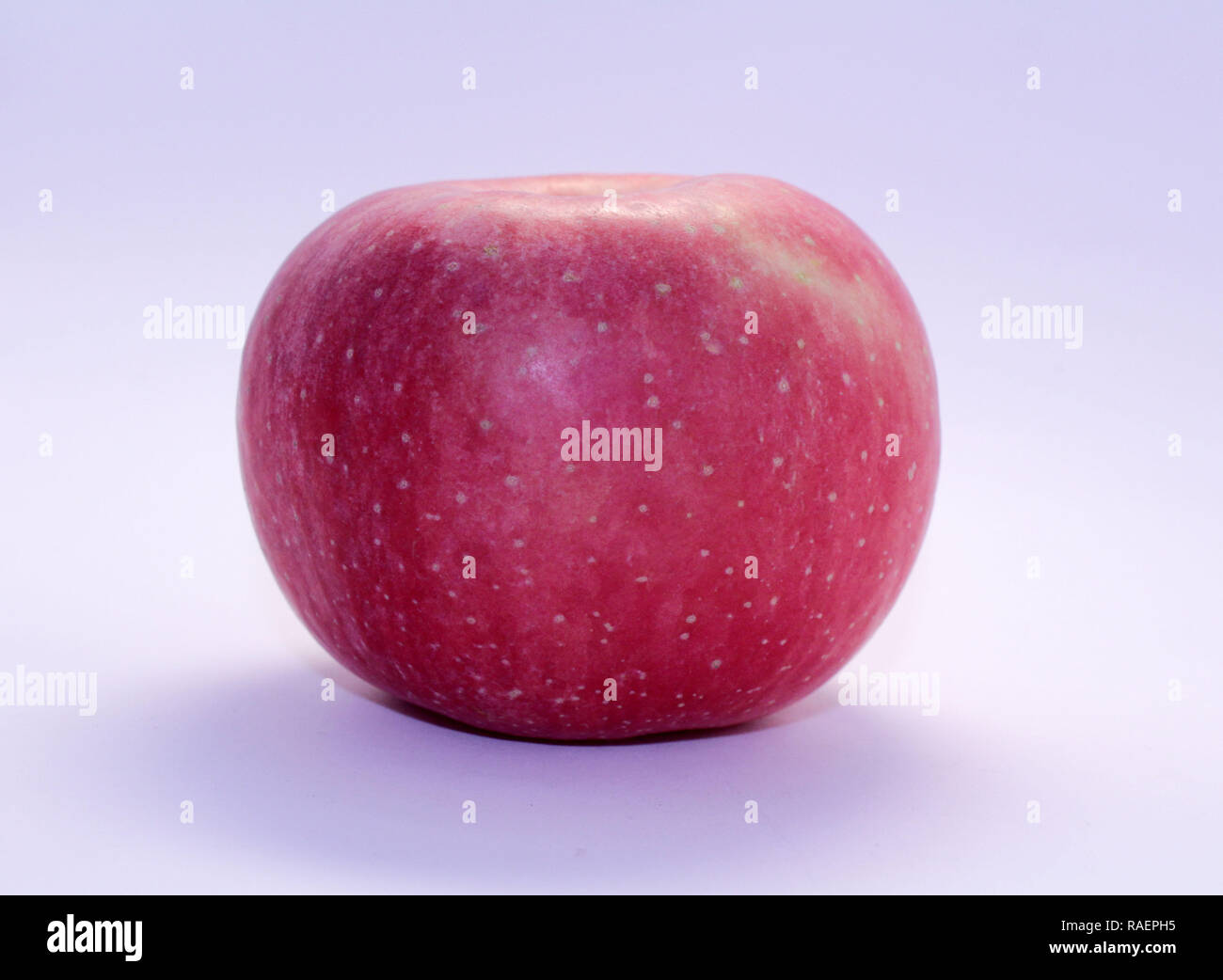 The red apple known as "Apel Fuji" (Fuji Apple). Bright pinky color ...