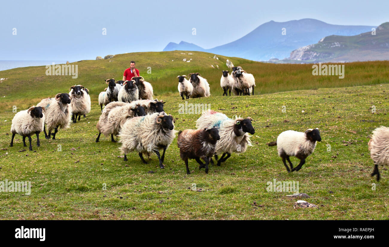 Achill island ireland hi-res stock photography and images - Alamy