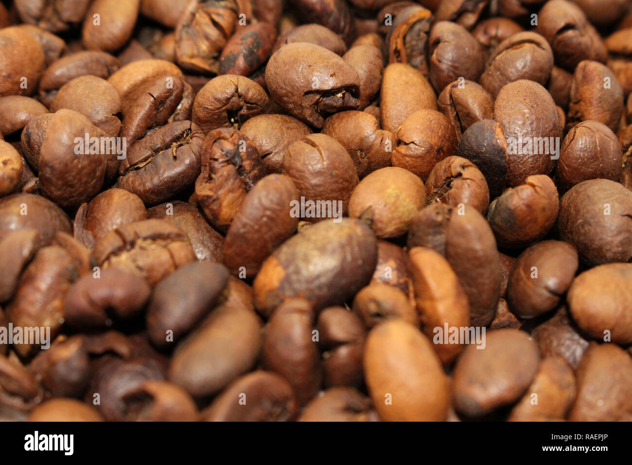 Indonesian roasted coffee beans, your source for a cup of coffee. Fresh ...