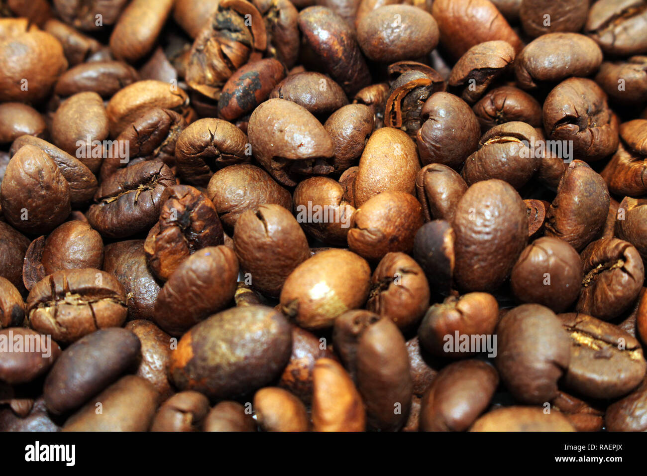 Indonesian roasted coffee beans, your source for a cup of coffee. Fresh ...
