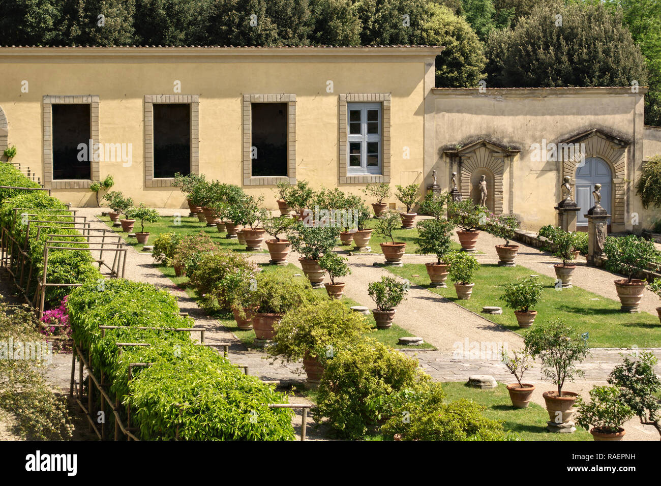 The Medici Villa di Castello (Villa Reale), Sesto Fiorentino, Florence ...