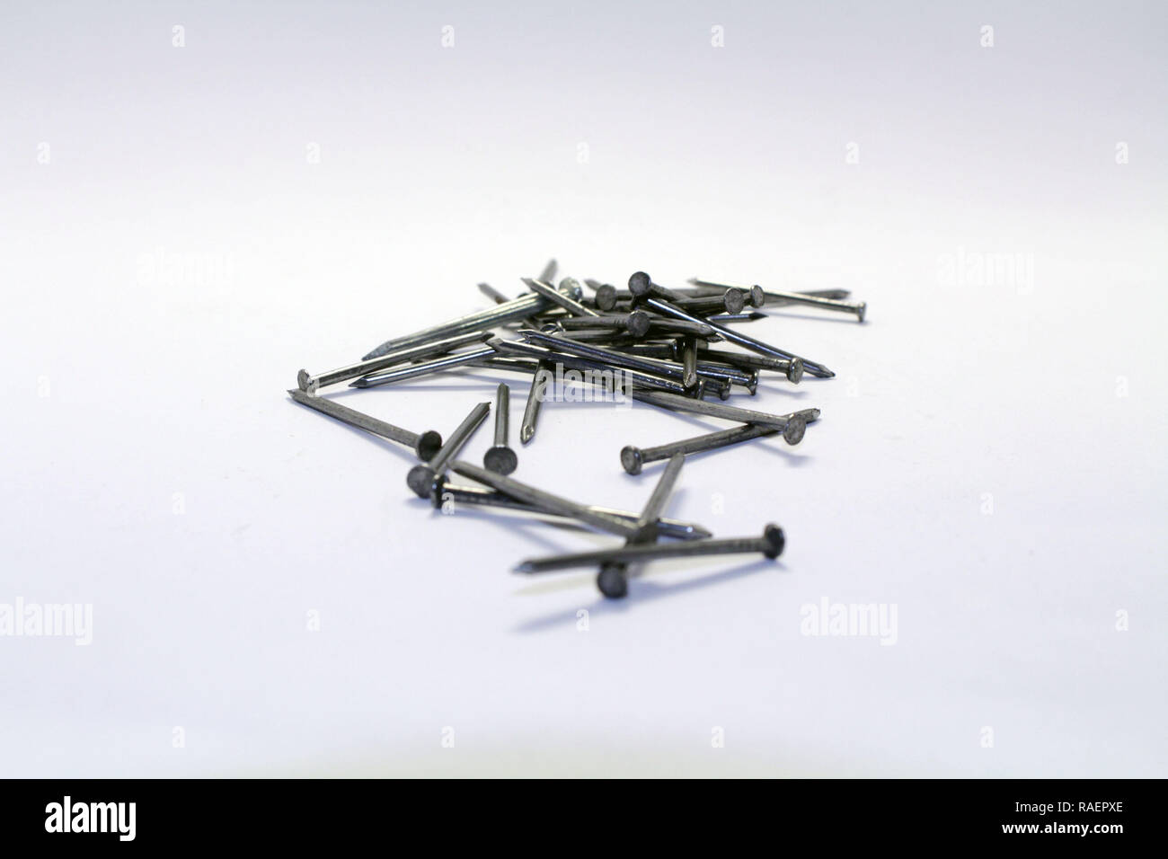 Hammer shaped head hi-res stock photography and images - Alamy