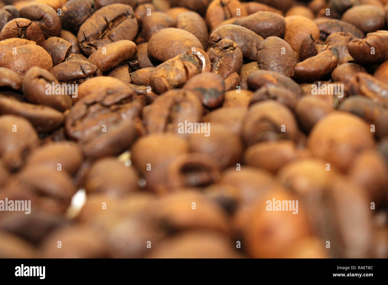 Indonesian roasted coffee beans, your source for a cup of coffee. Fresh ...