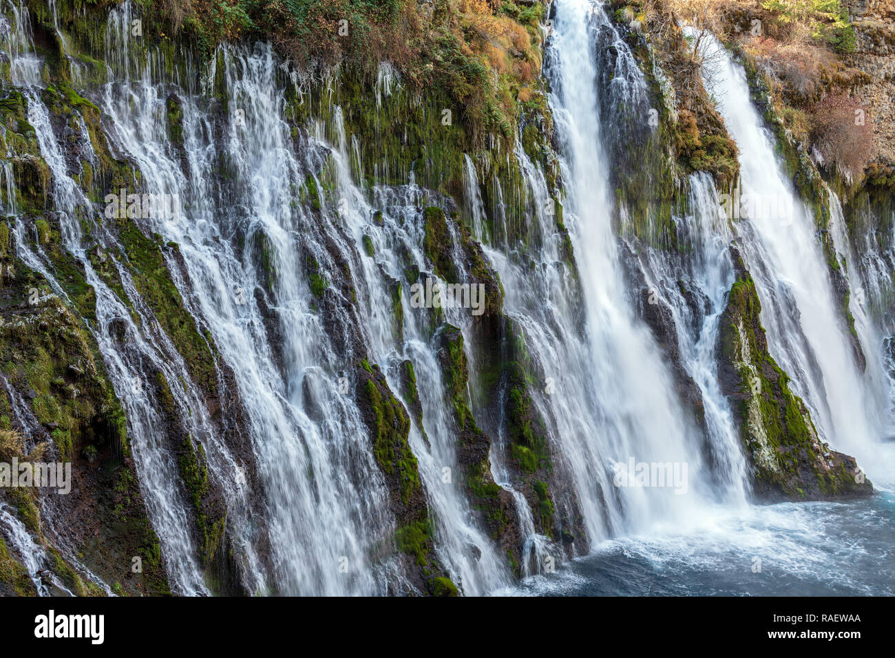Burney falls forest waterfalls in hi-res stock photography and images ...