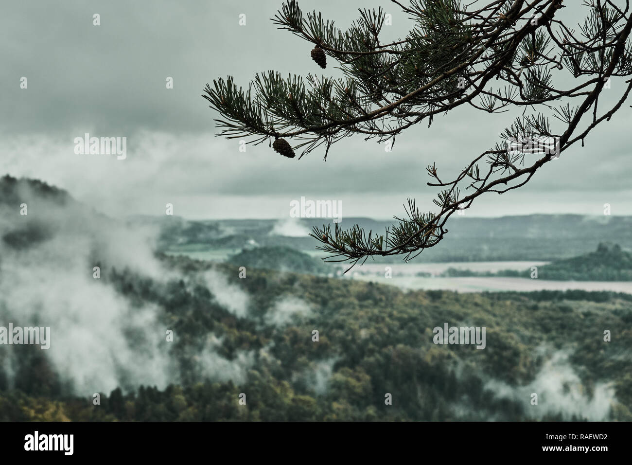 Deadpan hi-res stock photography and images - Alamy