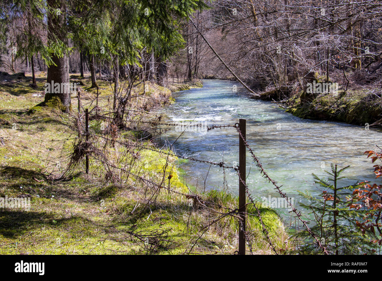 Stream guarding hi-res stock photography and images - Alamy