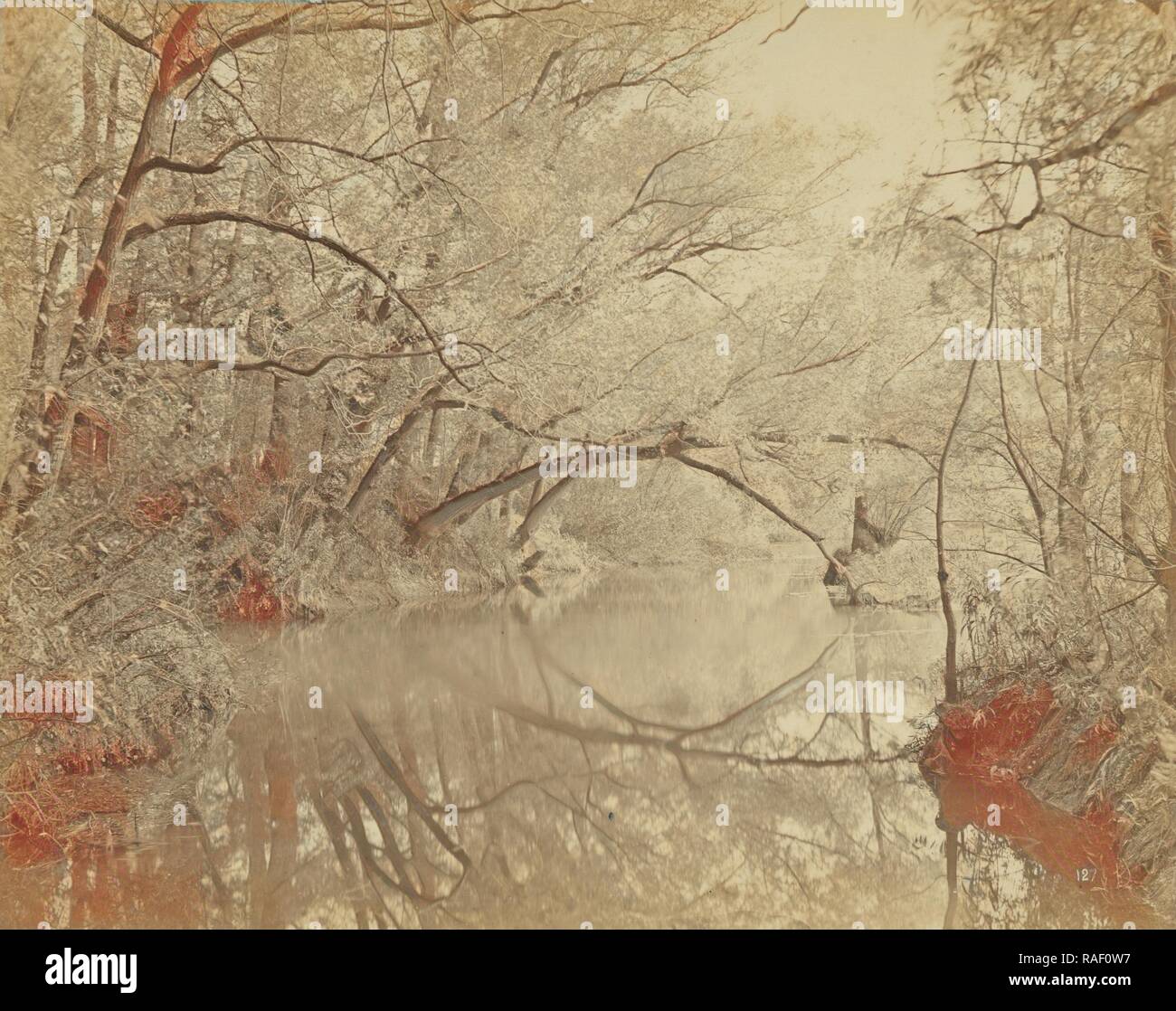 Nature Studies, Achille Quinet (French, 1831 - 1900), France, about ...