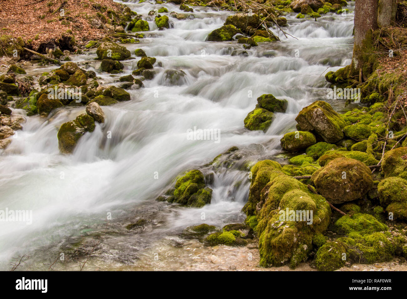 beautiful small river and rocks full of moss Stock Photo - Alamy