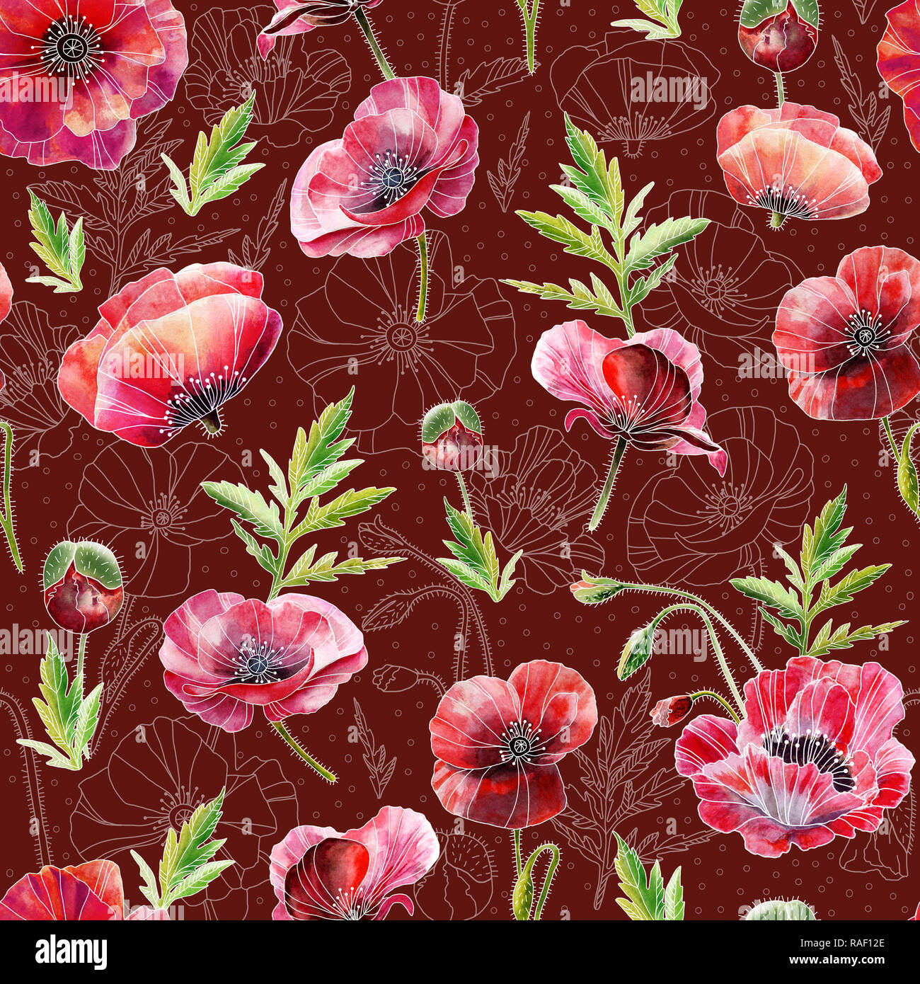 Sketch for poppies hi-res stock photography and images - Alamy