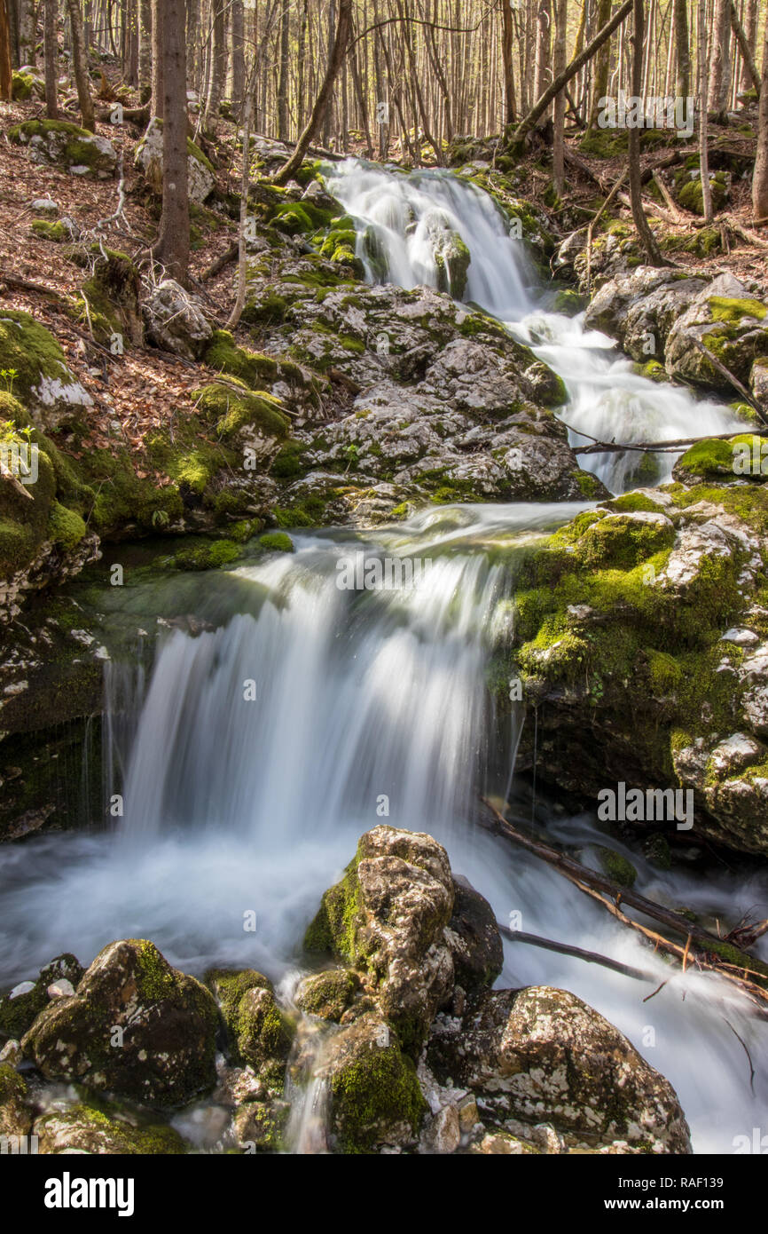 Rugged alpine stream cascade hi-res stock photography and images - Alamy