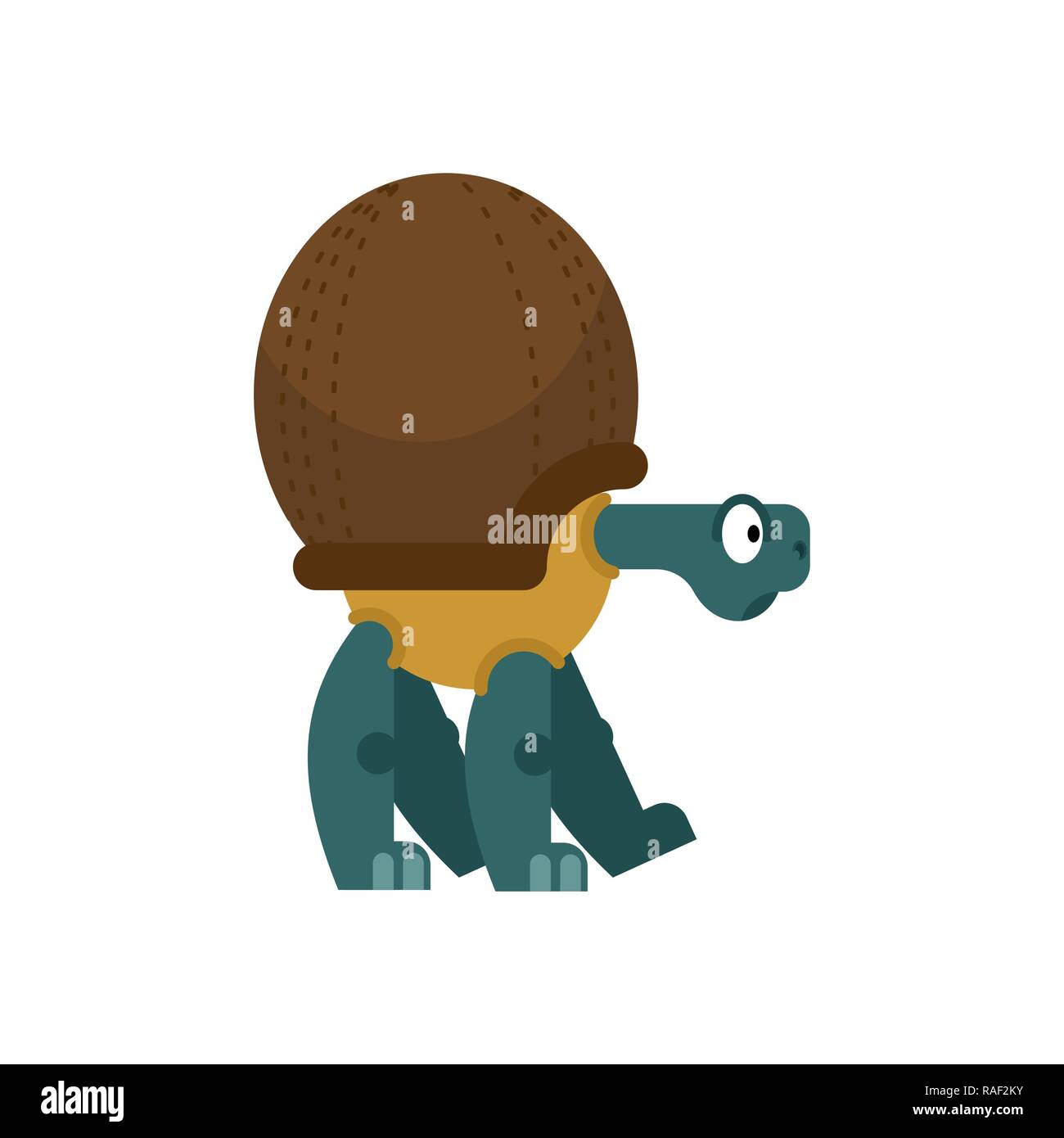 Turtle Coconut. tortoiseshell in shape of coco. tropical Nut Shell ...
