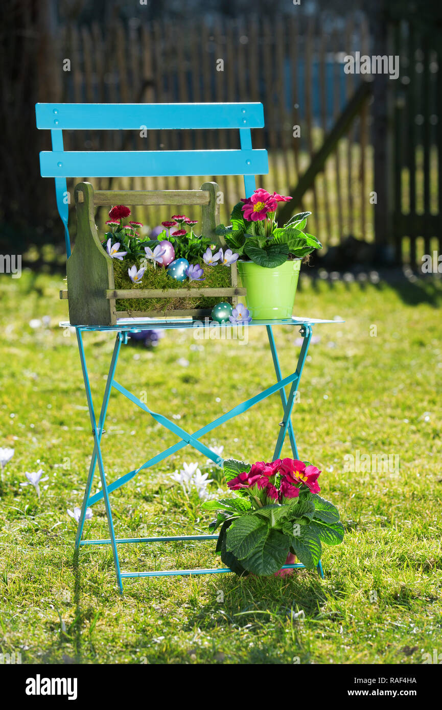 Colorful spring flowers Stock Photo - Alamy