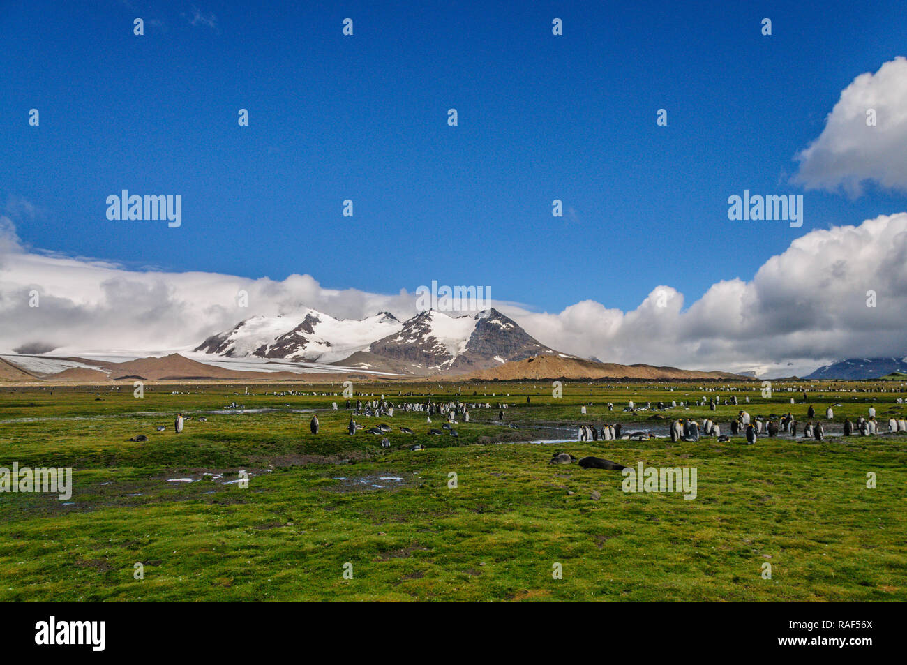 Salisbury plains landscape hi-res stock photography and images - Alamy