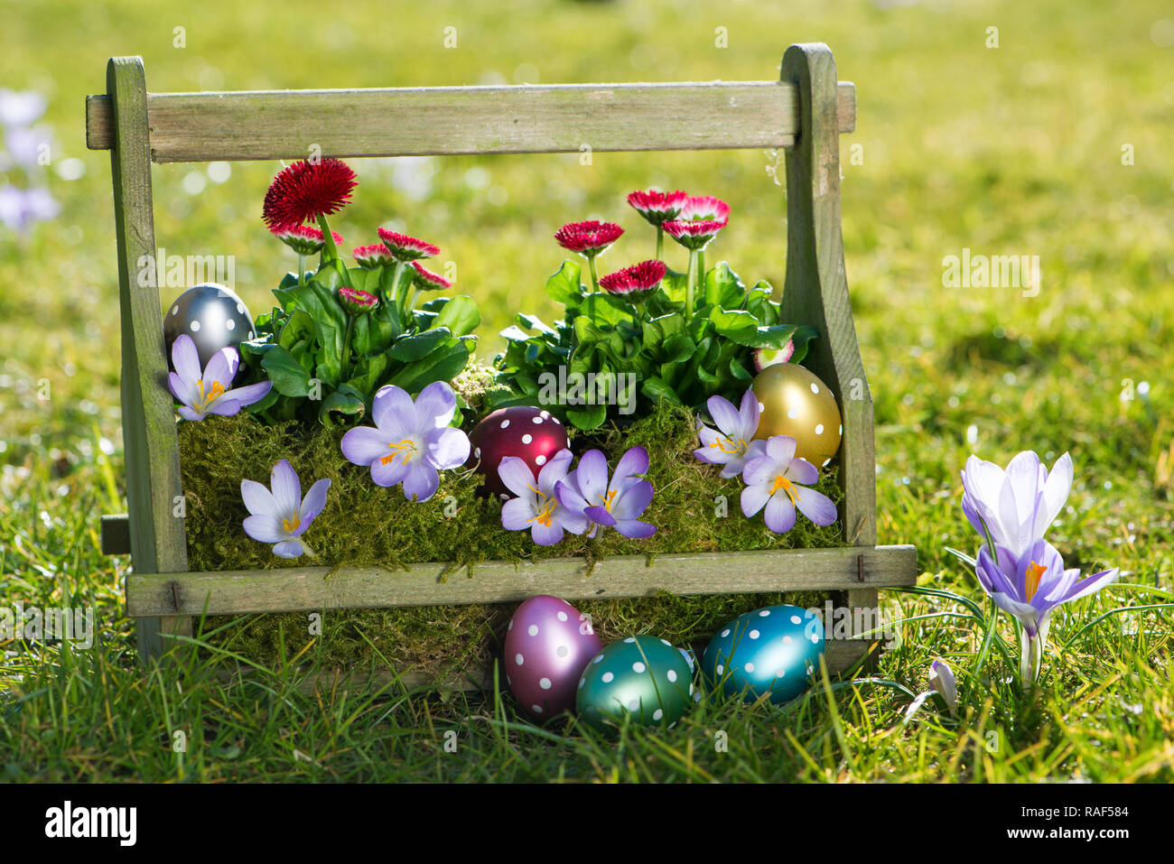 Colorful spring flowers Stock Photo - Alamy