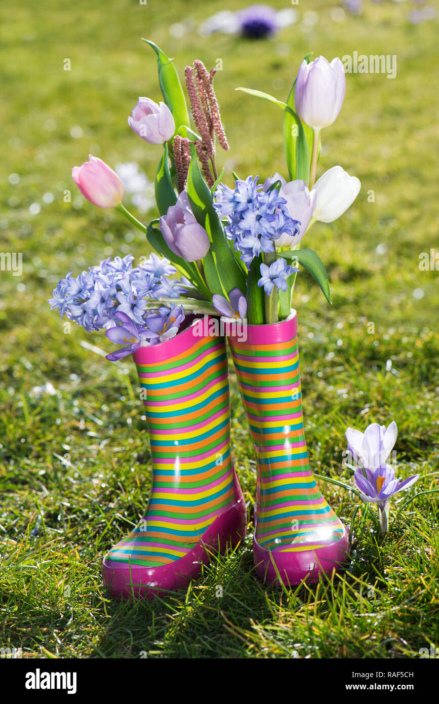 Colorful spring flowers Stock Photo - Alamy